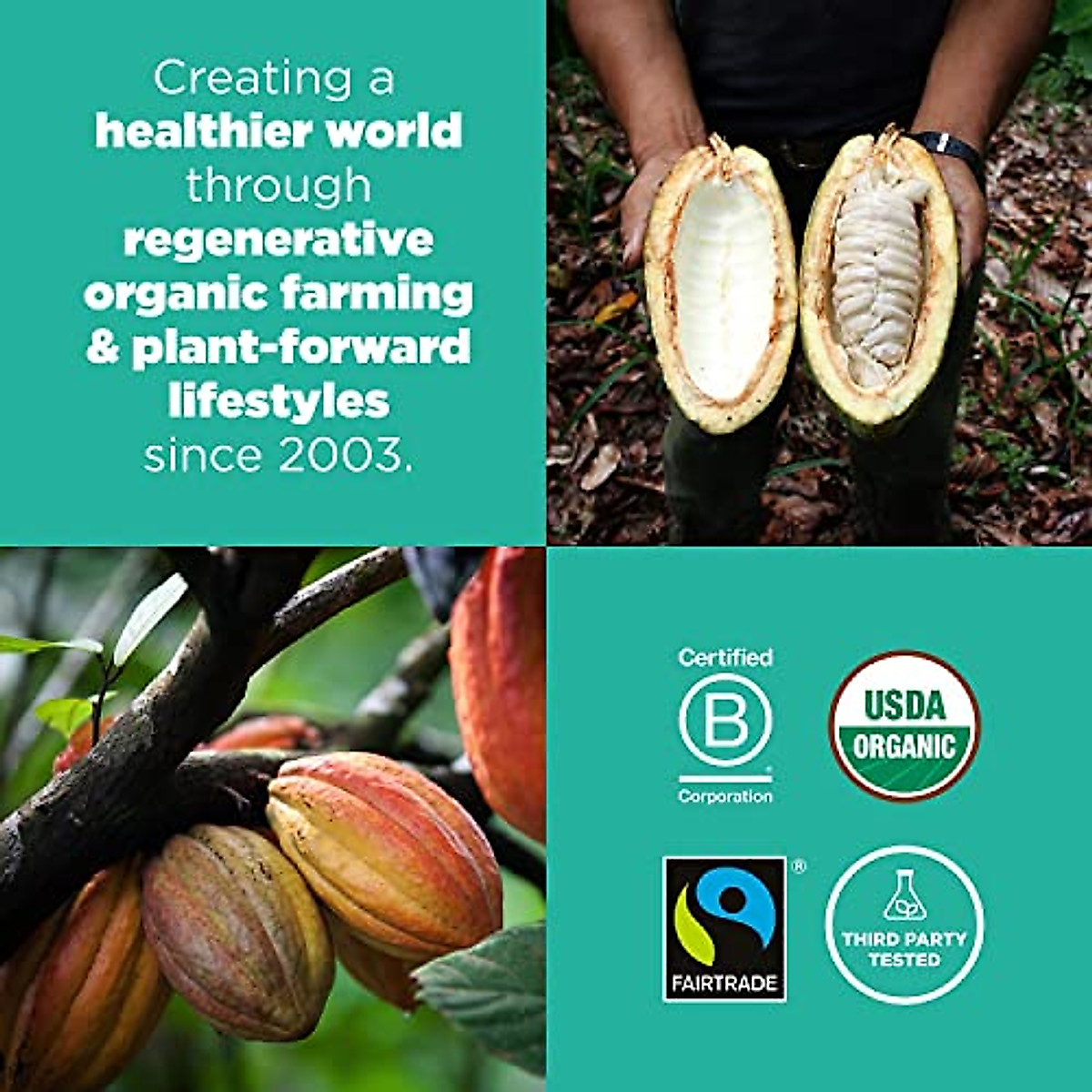 Navitas Organics Raw Cacao Nibs, 8 oz. Bag, 76 Servings — Organic, Non-GMO, Fair Trade, Gluten-Free