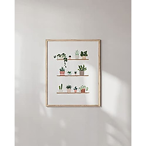 HAUS AND HUES Plant Pictures Wall Art - Succulent Art Wall Decor, Plant Prints Wall Art & Botanical Plant Wall Art Prints, Cactus Poster Botanical Flower pots on Shelves (Unframed, 16x20)