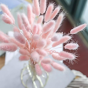 60PCS Rabbit Tail Grass Dried Flowers Dried Natural Floral Arrangement Bunch Decoration Dried Grass,Eternal Flower Dried Grass for Home,Wedding,Party,Flower Bouquet,Photo Props Decor (Light Pink)