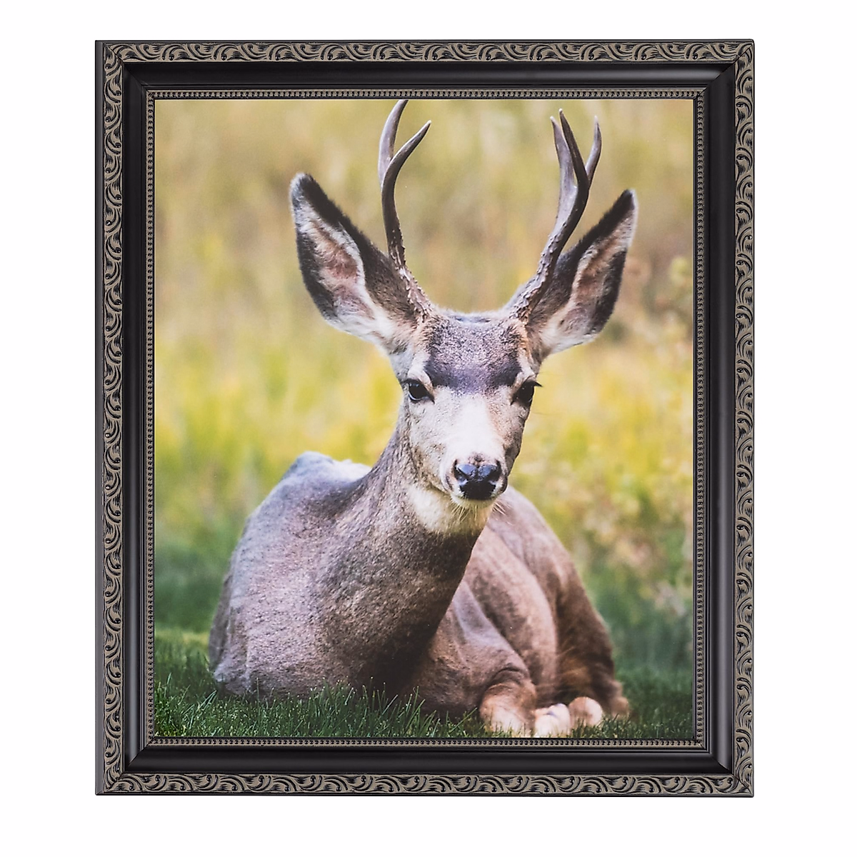 ArtToFrames 16x20 Inch Black Picture Frame, This 1.25 Inch Custom Poster Frame is Antique Black - Comes with Economy Acrylic and Corrugated Backing (WOM5106-16x20)