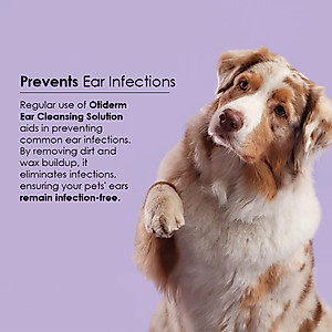Otiderm Ear Cleansing Solution with Aloe Vera for Dogs & Cats, Anti-Irritant Formula with Neutral pH and Aloe Vera, Deodorize & Gently Clean - 8 fl oz