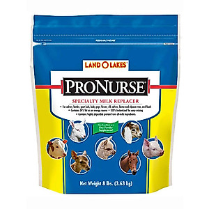 Land O Lakes C ProNurse Multi Species Milk Replacer 4 8LB