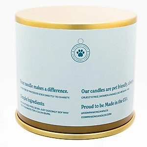 Companion Candles Pet Safe Wood Wick Candle - “You & Me by The Sea” Sea Salt & Neroli, Coconut Soy Wax Scented, Over 50 Hr Burn Time, Non-Toxic, Women-Owned, Made in USA (3 oz.)