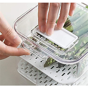 blitzlabs Produce Saver Lettuce Container, Refrigerator Organizer Bins Fridge Food Storage Containers with Lids and Removable Drain Tray for Freezer Cabinet Kitchen Organization 2800ML -2 Pack