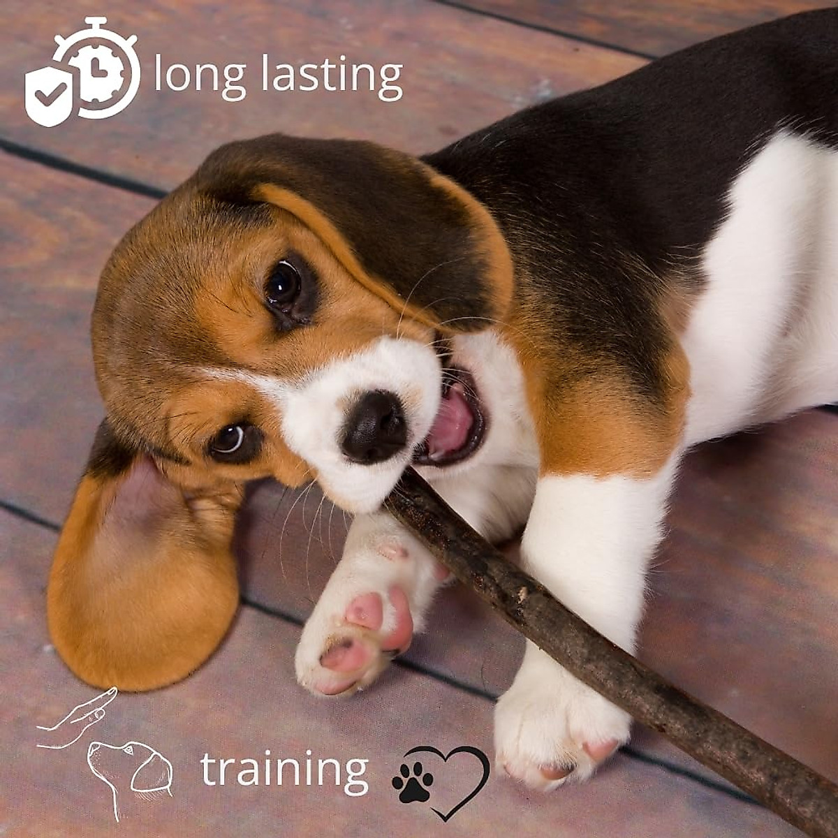 MISH&CA Bully Sticks for Dogs - Tough Long Lasting, Rawhide Free, Low Odor, Healthy Single Ingredient Chew Treat for Aggressive Chewers - 100% Free-Range Grass-Fed Beef (100 GR 15 CM, Straight)