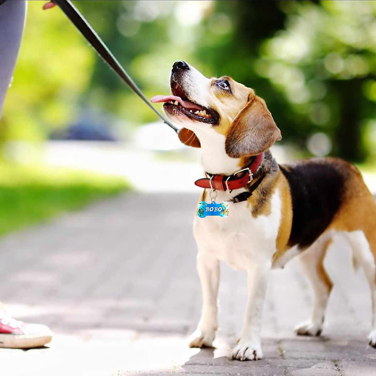 Pet Tag Resin Mold Silicone, Dog Tag Molds for Resin, Dog Bone Cat Shaped Keychain Silicone Resin Molds with 15Pcs Keychains DIY Crafts Making Tag Charm Pendant