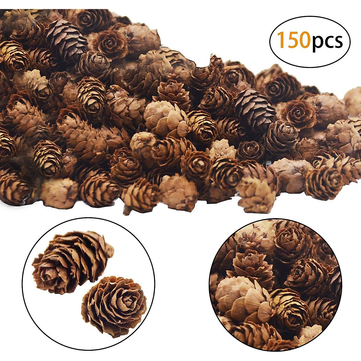 Deloky 150 PCS Christmas Natural Mini Pine Cones- 2CM Thanksgiving Small Pinecones Ornaments Vase Fillers for DIY Crafts, Home Decorations,Fall and Christmas,Wedding Decor