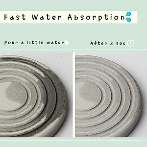 Skylarlife Absorbent Diatomite Coaster for Drinks and Plants Fast Water Absorption in Seconds, Odorless Diatomaceous Earth Non-Slip Insulation Protect Table Countertop from Damage Minimal Set of 4