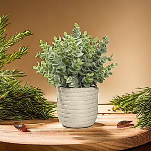 Hopewood Faux Plants, Fake Plants Eucalyptus Potted for Home Office Desk, Artificial Eucalyptus with a Weave Basket for Indoor Greenery Tabletop