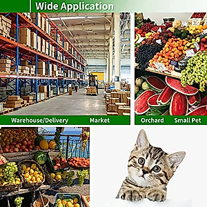 Shipping Scale, 264lbs Shipping Postal Scale with 10g High Precision, Postal Scale with Tare/Hold/Count, Stainless Steel Large Platform, Backlit LCD Display, Battery & USB Power Supply Included