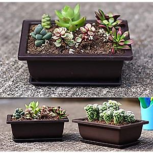 Yesland 24 Pcs Bonsai Training Pots of 6-1/2 Inch - Classic Deep Humidity Trays with Built in Mesh - Plastic Square Pot for Plants, Flowers, Herbs, African Violets & Seed Nursery