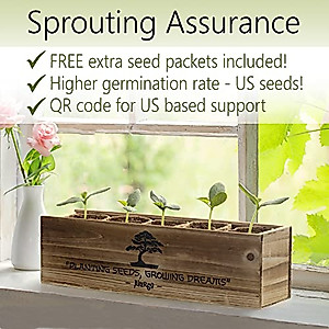 Bonsai Tree Kit – 5X Unique Japanese Bonzai Trees | Complete Indoor Starter Kit for Growing Plants with Bonsai Seeds, Tools & Planters – Gardening Gifts for Women & Men