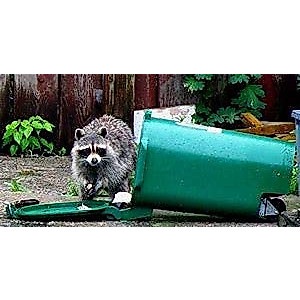 Lid Loc Outdoor Garbage Can Lock Keeps Trash Secure and Wildlife Out Wind Weather Proof Strong Durable