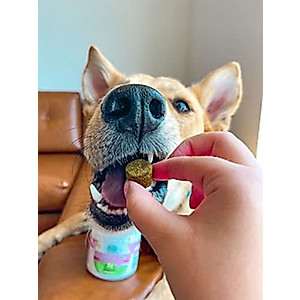 Four Paws Healthy Promise Advanced Formula Hip & Joint Supplement for Dogs Soft Chews 48 Count