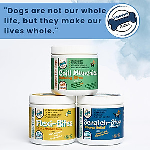 Scratch-Stop 120 Scratching Relief Chews for Dogs with Itchy Skin and Allergies, Essential Dog Allergy Relief and Vitamins Supplement for Immune Support, Omega-3, and Gut Health, Seasonal Allergies