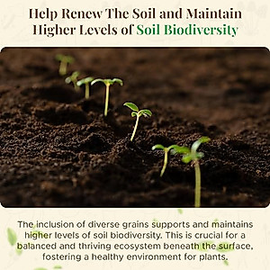 Kashi Blend A Diverse Grain Bokashi - Dry Powder to Compost Food & Pet Waste Indoors Outdoors for Better Planting Soil - Help Renew The Soil and Maintain Higher Levels of Soil Biodiversity - 2lbs