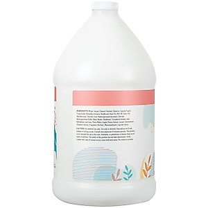 Ginger Lily Farms Botanicals Moisturizing Conditioner for Dry Hair, 100% Vegan & Cruelty-Free, Apple Pear Scent, 1 Gallon Refill (128 fl oz)