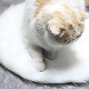 Electric Heated Blanket,Electric Blanket, Hand Warmer, Small Pet Cats Plush Heating Mat Heated Blanket Constant Temperature Waterproof Anti-Creep USB Interface(Wei?)