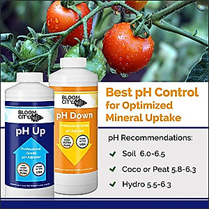 Bloom City Professional pH Up + Down Control Kit for Optimal Nutrient Uptake (Two 1/2 Pint Bottles) 16 Total oz