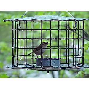 Erva Bluebird Feeder - Includes Meal Worm Cup - Designed to Keep Squirrels Out - Made in The USA
