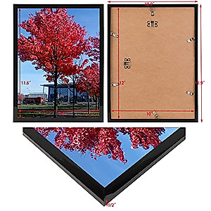 Medog 10x12 Picture Frame Black 10 by 12 Inch Black Picture Poster Frame, Smooth Finish, Non-Glass Without Mat for Display Certificate/Photo 10x12 for Wall Mount Frames (P1E 1012 1P)