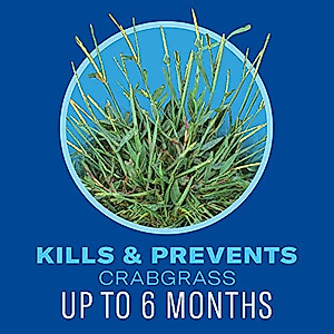 BioAdvanced 5 In 1 Weed and Feed, Granules, 9.6LB