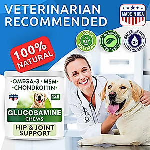 Glucosamine Dog Treats - Joint Pain Relief Supplement - Advanced Formula with Chondroitin, MSM, Omega-3 - Hip & Joint Care - Made in USA - Chicken Flavor - 120 Chews
