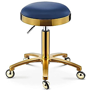 LWBLJX Rolling Bar Stool Beauty Salon Counter Makeup Medical Chair with Swivel Wheels, PU Leather Seat & Stainless Steel Frame, Adjustable 44-59 cm(Color:Blue)