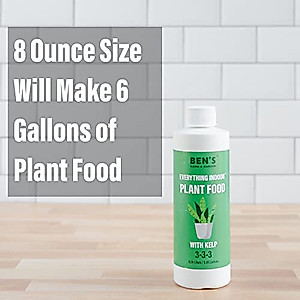 Ben's Home & Garden Everything Indoor Plant Food with Kelp | Liquid Concentrate Indoor Plant Fertilizer 3-3-3 All Purpose Plant Food for House Plants (8 Ounce)