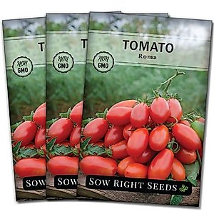 Sow Right Seeds - Roma Tomato Seed for Planting - Non-GMO Heirloom Packet with Instructions to Plant a Home Vegetable Garden - Great Gardening Gift (3)