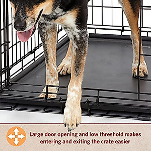 Dog Crate | MidWest Life Stages 36" Double Door Folding Metal Dog Crate | Divider Panel, Floor Protecting Feet, Leak-Proof Dog Pan | 36L x 23W x 25H Inches, Intermediate Dog Breed