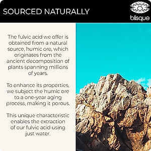 Blisque – Natural Trace Mineral Drops Supplement with Fulvic Acid and Humic Acid | for Detox, Cleanse, Immune Support, Brain Booster, Alkaline Hydration, and Energy | Contains Electrolytes | 4 Ounce