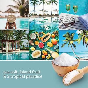 Yankee Candle Poolside Oasis Scented, Classic 22oz Large Jar Single Wick Candle, Over 110 Hours of Burn Time, Blue