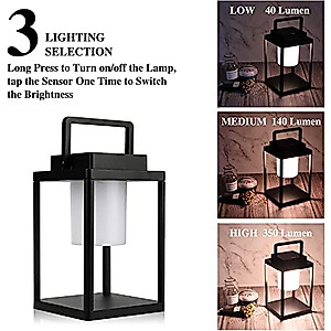 HFVLITE Cordless Table Lamp Waterproof Portable Garden Light Touch-Sensitive LED Night Light Outdoor Rechargeable Hand Lamp, Dimmable Desk Light Battery Operated for Garden, Patio, Yard, Path