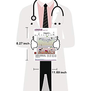 Audiogram Anatomical Chart Laminated Card for Audiologist and Hearing