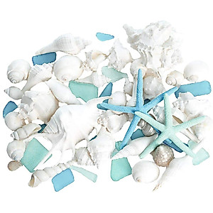Real Mixed Beach Seashells with Blue & Green Starfish & Aqua and Blue Sea Glass | White Decorative Sea Shell Décor & Blue Seaglass Pieces | Seashell Wedding | Plus Free Nautical eBook by Joseph Rains