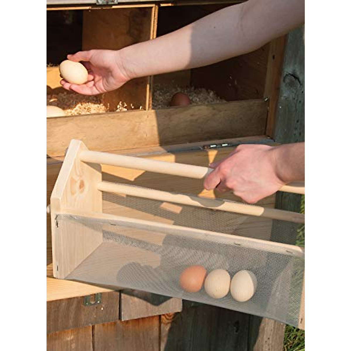 Chicken DIY: 20 Fun-to-Make Projects for Happy and Healthy Chickens (CompanionHouse Books) Coops, Ramps, Roosts, Nest Boxes, Feeders, Waterers, and More, with Materials Lists; plus Bonus Egg Recipes