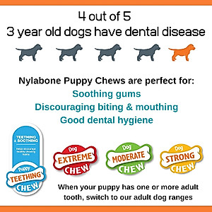 Nylabone Puppy Rubber Teether - Puppy Chew Toys for Teething - Puppy Supplies - Vanilla Flavor, Small/Regular (1 Count)