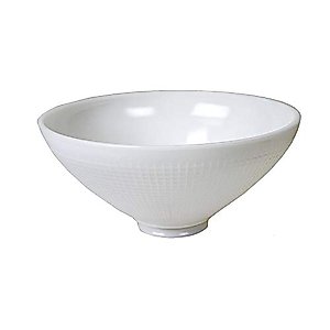10 Inch Diameter Reflector-Type Replacement Shade