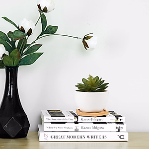 Cosmos 4 Pcs Bamboo Plant Saucer Succulent Pot Holder Drainage Tray with Raised Edge for 3.5 Inch Small Plant Flower Pots (Hexagon Shape)