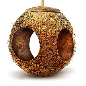 SunGrow Leopard Gecko Coco Hut, Gecko Climbing Accessories, Raw Coconut Shell Reptile Hide, Terrarium Habitat Décor, 2.5” Opening Diameter, with Fiber Loop for Hanging (3-Holes)