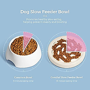 Slow Feeder Bowl for Cats and Small Dogs,Cilkus Fish Pool Design, Fun Interactive Bloat Stop Puzzle Feeder Bowl Healthy Eating Diet Made of Melamine Food Grade Material Dishwasher Safe (Small,White)