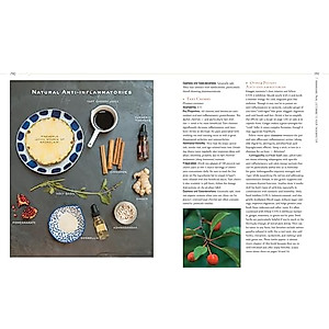 Body into Balance: An Herbal Guide to Holistic Self-Care