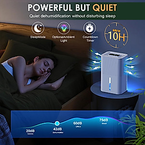 Portable Home Dehumidifier for Basements|91 OZ Tank|900 sq.ft Coverage|Quiet Smart Design with Auto Shut-Off