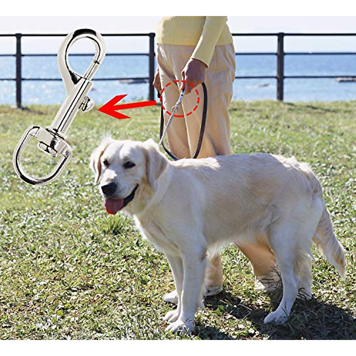 PENTA ANGEL 4Pcs Dog Leash Clasp Heavy Duty Snap Hooks Clips Pet Leashes Key Chain with Spring Buckle for Linking Pet Collar (4 PCS)