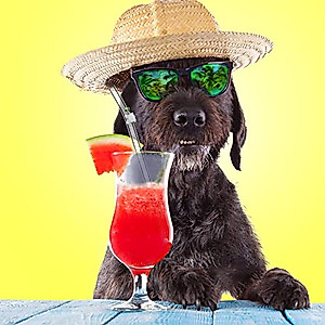 6 Pcs Glass Straw with Design Shatter Resistant Straws Reusable Clear Bent Cute Straws 8 mm x 7.9 Inch with 2 Pcs Cleaning Brush for Drinking Smoothie Cocktail Shakes Beverages (Turtle)