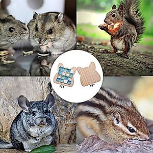 5 Pcs Hamster Cage Platform Set, Wooden Chinchilla Stand Board Pet Rest Platform with Screw Nut Washer Cage Accessories Cage Platform for Small Animal Pet Birds Parrots Gerbils