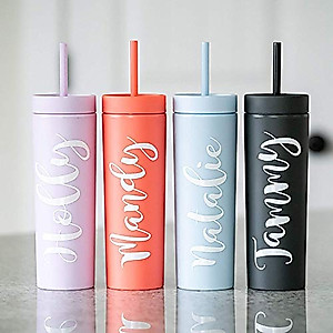 SKINNY TUMBLERS (4 pack) Matte Pastel Colored Acrylic Tumblers with Lids and Straws |16oz Double Wall Plastic Tumblers With Straw Cleaner INCLUDED! Reusable Cup With Straw | Vinyl DIY Gifts