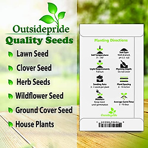 Outsidepride Angelonia Serena Summer Snapdragon Garden Flower Plant Seed Mix - 40 Seeds