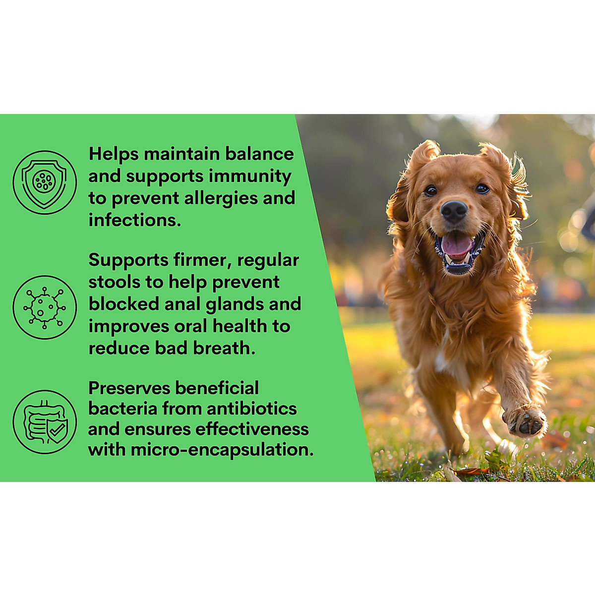 Probiotic for Dogs - Grain-Free Digestive Support Powder for Diarrhea, Bloating & Gas - Promotes Immune Support & Oral Health - Reduces Paw Licking, Allergies & Yeast Infections - 2.7 oz - 45 Scoops